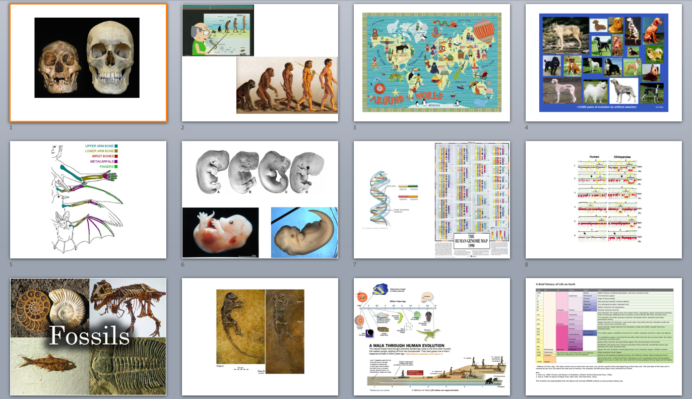 Assembly ideas and materials – teacherhead