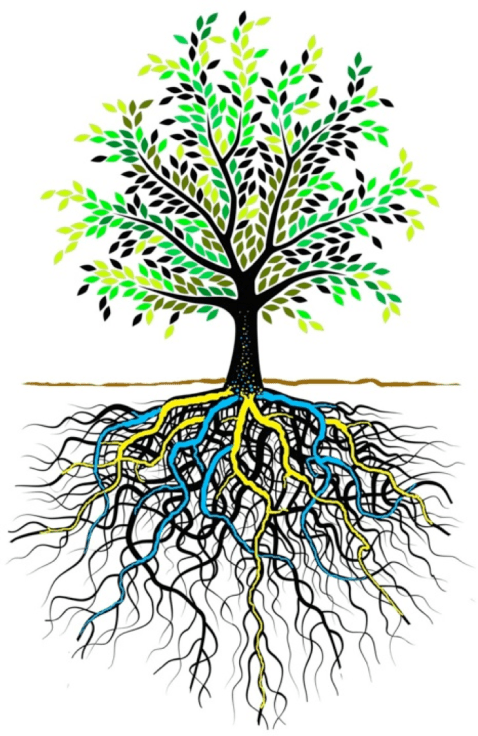 The Progressive-Traditional Pedagogy Tree – teacherhead