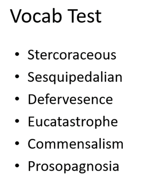 vocab test – teacherhead