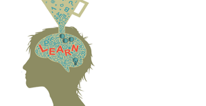 What is a knowledge-rich curriculum? Principle and Practice. – teacherhead