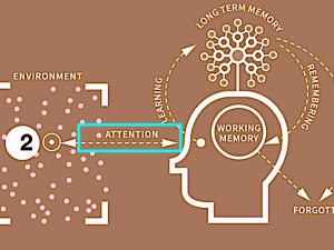 10 Things: The essentials of your pedagogical toolkit. – teacherhead