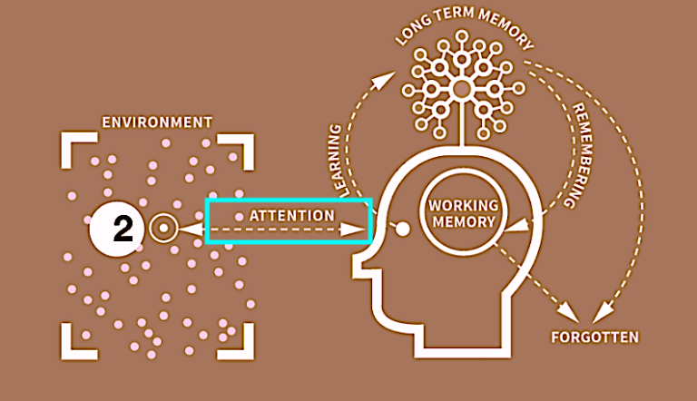 Five ways to: Sustain Student Attention – teacherhead